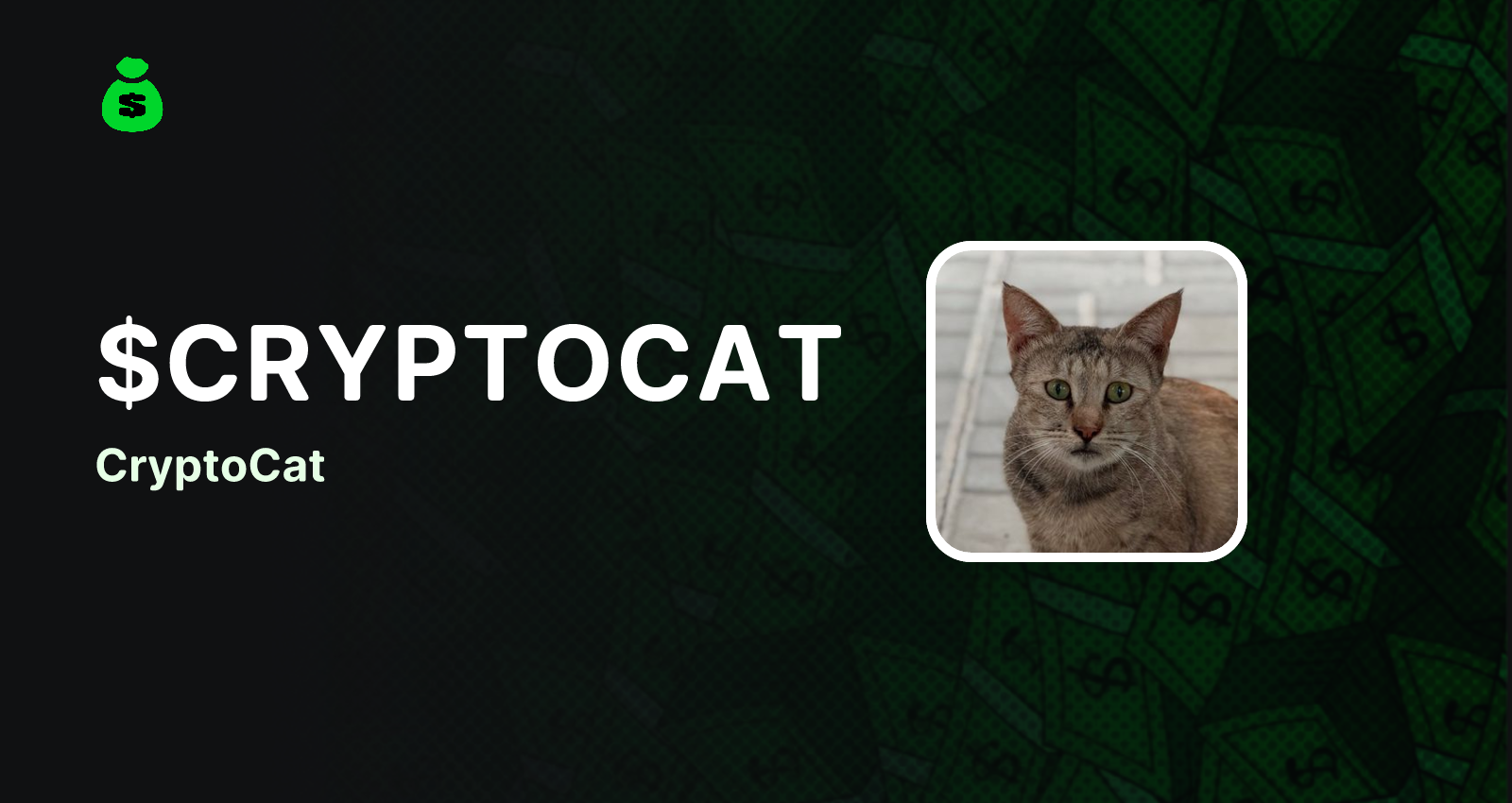 $CRYPTOCAT on Bags