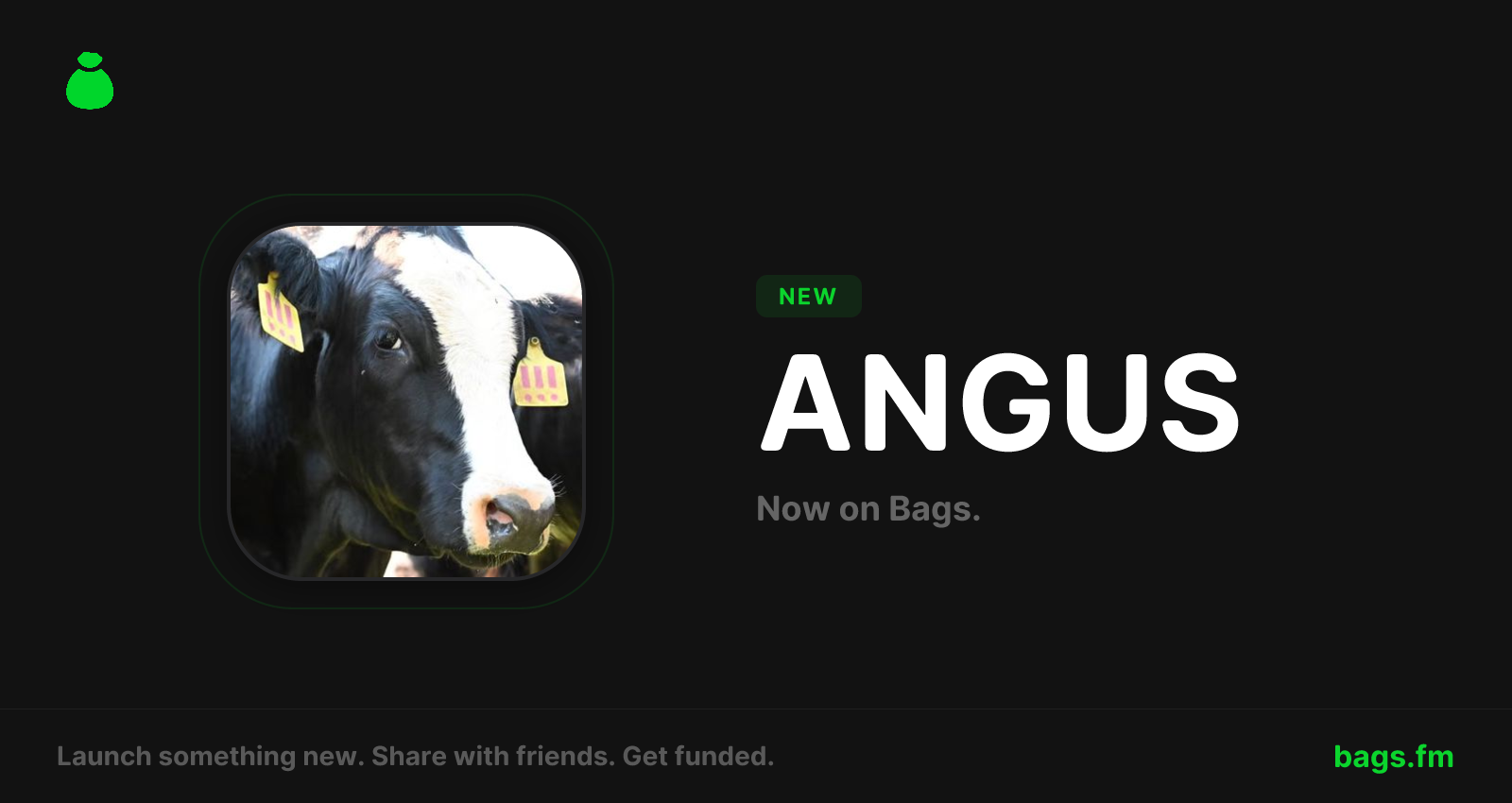 $ANGUS on Bags | Bags