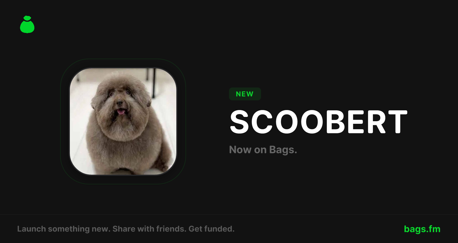 $SCOOBERT on Bags | Bags